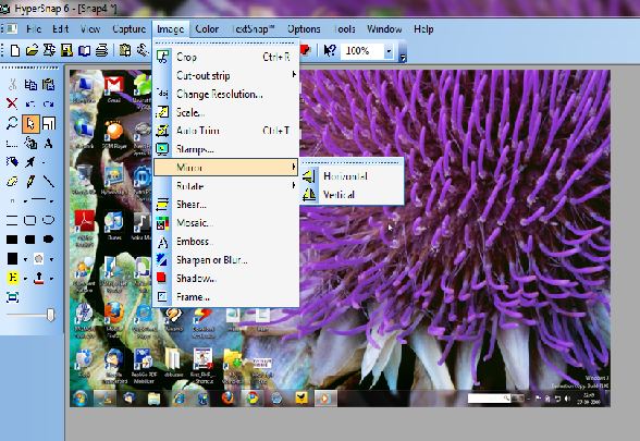 Taking Screenshot | RajeevVerma.com